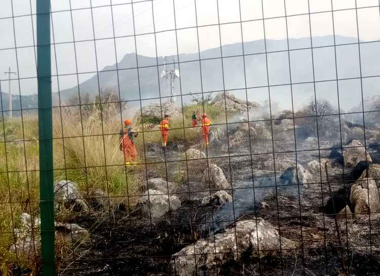Ancora fiamme nel Monrealese: brucia la montagna di Meccini - Monreale ... Ancora fiamme nel Monrealese: brucia la montagna di Meccini - Monreale ...
